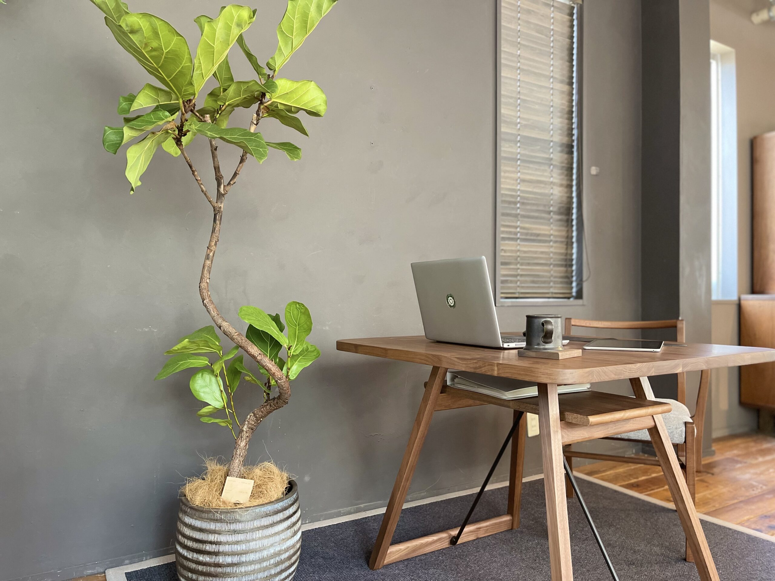Flexible working space - source store Bangkok